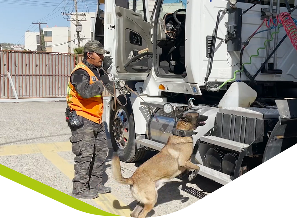 Non-Perishable Food Logistics - MexCal Truckline