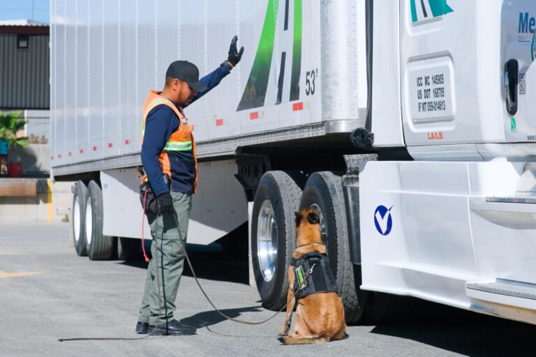 Cross-Border Logistics Trends Reshaping Trade in 2025